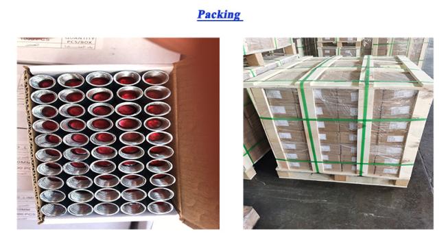 Galvanized Drop in Anchor Carbon Steel Expansion Anchors Bolt for Structure