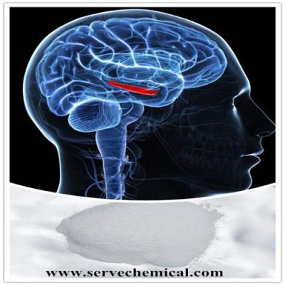 China GMP factory supply Sunifiram use for memory storage enhancement for sale