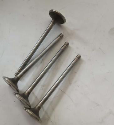 Cina 6D102 valvole del motore diesel valvole di scarico e dell'assunzione 6736414110 3802355 in vendita