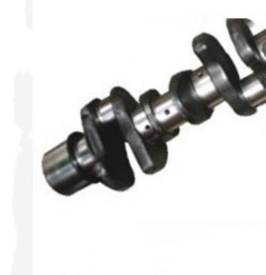 Cina Albero a gomito 1-12310-407-0/5-12310-151-0 del motore diesel di 6BD1T DB58 in vendita