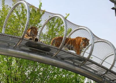 China Flexible Stainless Steel Cable Mesh Animal Enclosure Ferruled Mesh Style for sale