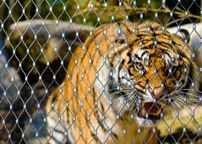 China Stainless Steel Animal Enclosure Mesh Corrosion Resistant For Lion Tiger Cage for sale