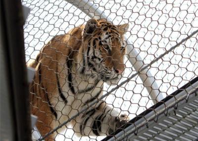 China SUS304 Zoo Wire Mesh / Lightweight Flexible Wire Mesh Netting ，flexible steel mesh for sale