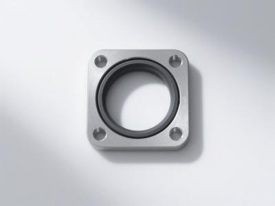 중국 확장 가능 및 사용자 정의 가능한 정밀 밀봉 부품 가공 판매용