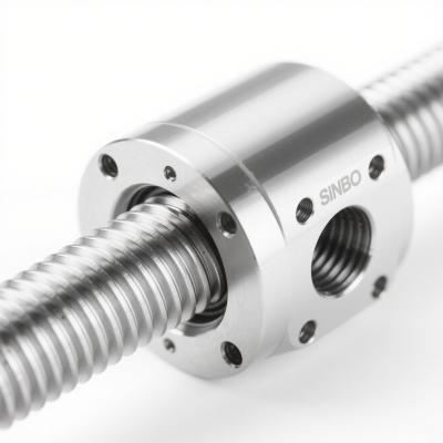 중국 산업용 로봇 변속 시스템 고정밀 볼 스크류 너트 시트 맞춤 가공 판매용