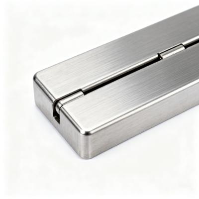 Cina Cerniera per contenitore antideflagrante in acciaio inossidabile, alto livello di protezione per robot speciali in vendita