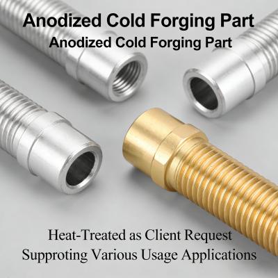 China Anodized Cold Forging Parts with Customizable Dimensions and Optional Heat Treatment for Precision Applications for sale