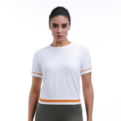China Cropped Mesh Workout Short Sleeve Tops 92% Nylon 8% Spandex for sale