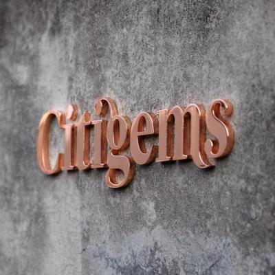 Cina CE di alluminio ROHS della lettera di Manica dell'acciaio di Cutted Logo Metal Letter Sign Stainless in vendita
