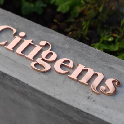 Cina CE di alluminio ROHS della lettera di Manica dell'acciaio di Cutted Logo Metal Letter Sign Stainless in vendita