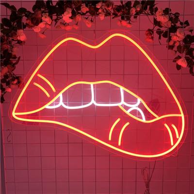 China Flexibel Acrylce ROHS van de Neonlicht Binnenlands Buitendecoratie Te koop