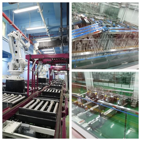 Quality 30 M/min Feeding Speed Biscuit Packaging Line For Paper Bag Width Range 180mm for sale