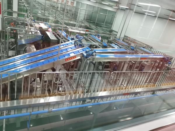 Quality 30 M/min Feeding Speed PLC Controller System Automatic Packaging Line For 250 for sale