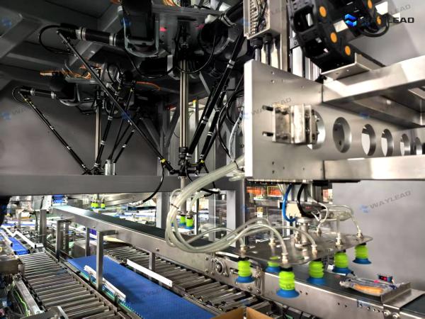 Quality Fully Automatic Packaging Production Line with High Speed & High Precision for sale
