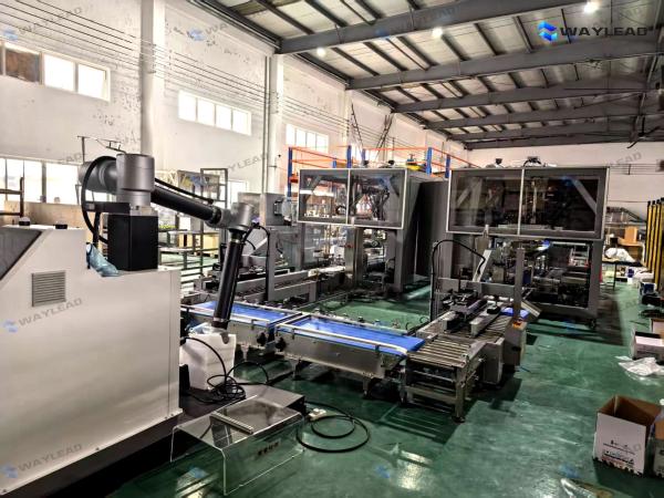 Quality Fully Automatic Packaging Production Line with High Speed & High Precision for sale