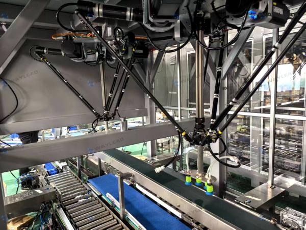 Quality Fully Automatic Packaging Production Line with High Speed & High Precision for sale