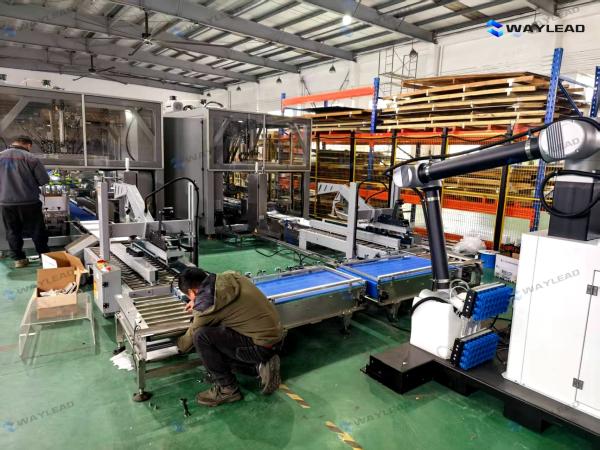 Quality Fully Automatic Packaging Production Line with High Speed & High Precision for sale