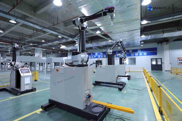 Quality WP50 Intelligent Collaborative Palletizing Robot Maximum Compatible Pallet Size for sale