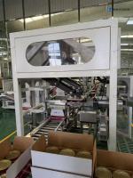 China Automatic Two-Axis Robot Case Packer High Efficiency Carton Packing Machine for sale