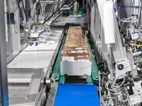 China Automatic Spider Hand Robot Carton Case Packer Packing Machine for sale