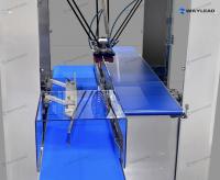 China Waylead Flexible Robot Arm Casebox Packer Packing Machine for sale