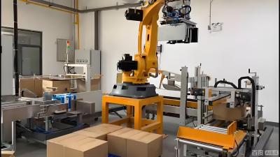 China End-of-Line Palletizing Robot – Bag & Case Stacking for sale