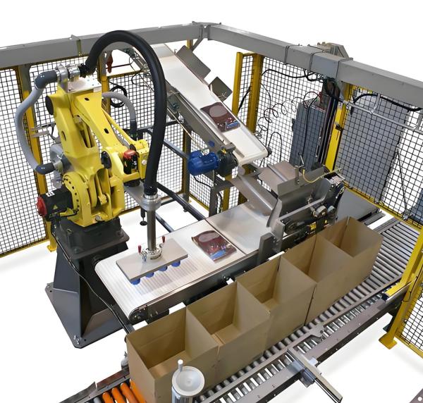 Quality Fully automated robot case packer for canned food processing plants for sale