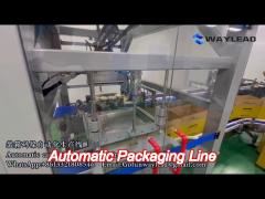 High Performance Precision Automatic Packaging Line Complete Set Of Packaging Conveying, Sealing And Palletizing Machines