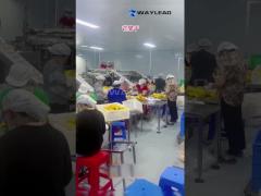 Gummy Snacks Pouch Packing Machine kan voorgebouwd zak folie zak doypack verpakken