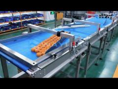 See Why Choose Pillow Packing Machine FDA-Compliant Sealing for Perishables/Premium FMCG Products