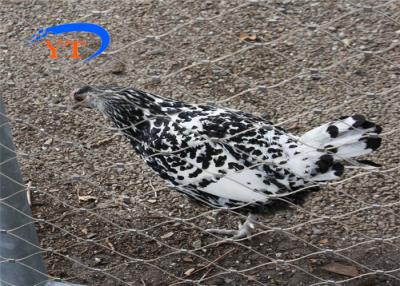 中国 耐久性を得る1.2mmから5.0mmの動物園のエンクロージャの網の動物園の飼鳥園 販売のため