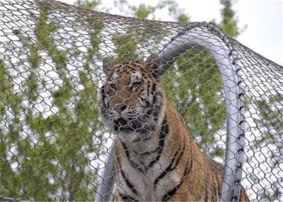 China Irregular Shape Ferruled Stainless Steel Zoo Mesh For Tiger Custom Made for sale