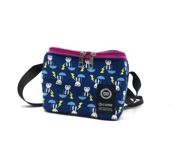 Cina Il BM ha isolato il AI che il dispositivo di raffreddamento PDF Tote Bag Portable Lunch Aluminium sventa CDR in vendita