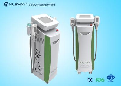 China Cavitation Head Cryolipolysis slimming equipment for sale