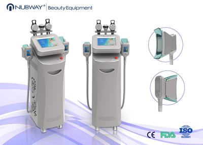 China Best Deal 58% person order this!!! cryolipolysis equipment/Cryolipolysis slimming machine for sale