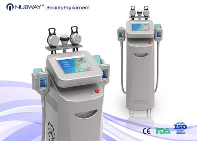 China Body Shaping Cryolipolysis Fat Freezing Slimming Machine Cryolipolysis Freeze machine for sale