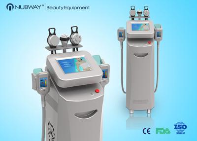 China CAVITATION RF cryolipolysis freezing/cryolipolysis slimming equipment for sale