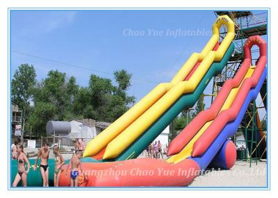 China Factory Price Giant Inflatable Water Slide for Fun (CY-M2137) for sale
