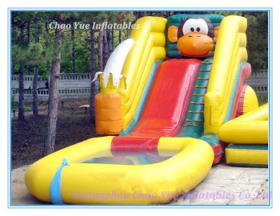 China 2014 Hot Sale Inflatable Water Slide N Slip (CY-M2138) for sale
