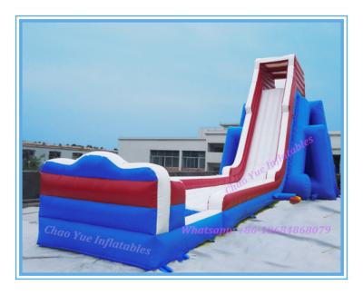 China 2015 Giant Inflatable Water Pool Slide for Amusement Park (CY-M2131) for sale