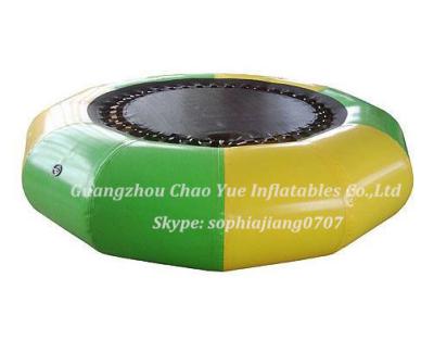 China 2015 Hot Sale Inflatable Water Bouncer (CY-M2012) for sale