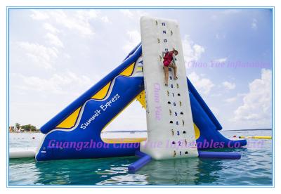 China Inflatable Water Slide with Climb for Water Amusement Park (CY-M2090) for sale