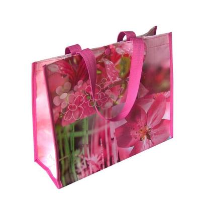 China Ecofriendly PP Spunbond Nonwoven Fabric Bags Carrier Bags Degradable Nonwoven Fabric Bags for Shopping for sale