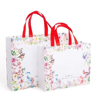 China Eco Friendly Biodegradable Reusable Laminated Tote Shopping Handbags Gift Market Non Woven Fabric with nice design for sale