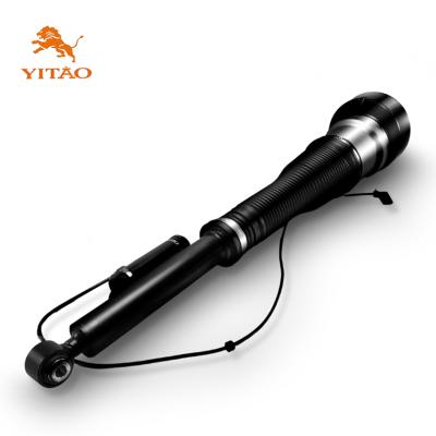 China 2213205813 Air Suspension Strut Rear Right For Benz S Class 2005-2012 for sale