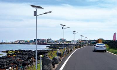 Cina Dispositivi all'aperto 100-240V di alluminio delle iluminazioni pubbliche di Palo principali progettazione 20w LED del fiore in vendita