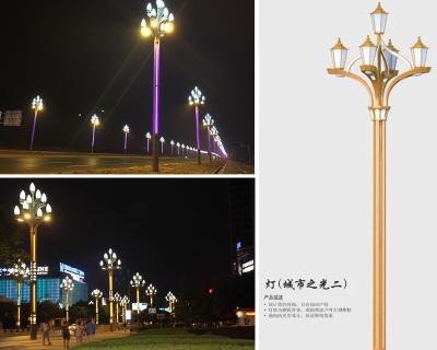 Cina 80W-240W ha combinato l'accensione delle iluminazioni pubbliche leggere di serie LED palo della barretta all'aperto in vendita