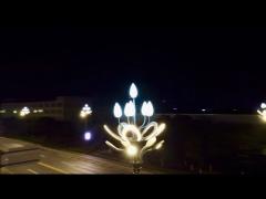 Dispositivi all'aperto 100-240V di alluminio delle iluminazioni pubbliche di Palo principali progettazione 20w LED del fiore