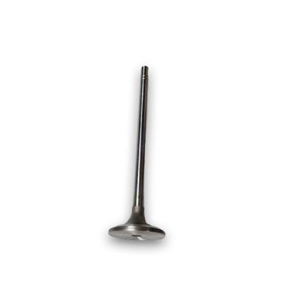 China Diesel Engine Part Exhaust Valve 1220322 Intake Valve for sale