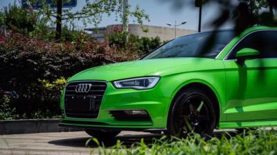 Cina Rotolo lucido di verde della vipera dell'involucro del vinile per la fodera 160gsm dell'ANIMALE DOMESTICO delle automobili in vendita